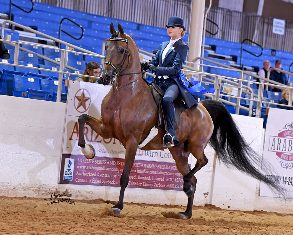 Arabian Horse Show Scottsdale 2019 Scottsdale Arabian Horse Show